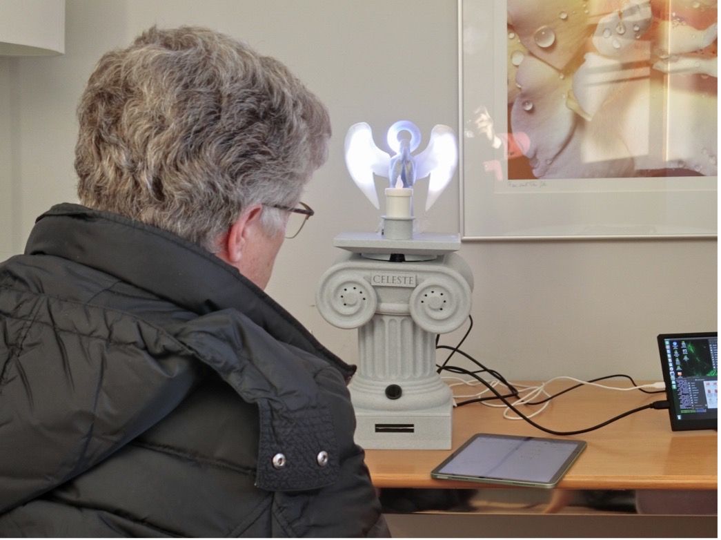 EU-Japan Virtual Coach for Smart Ageing | Yegnag Du